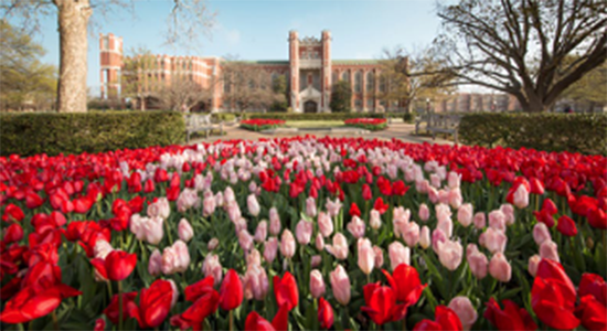 Ou Board Of Regents Approves Fy23 Budget Ou Polytechnic Institute